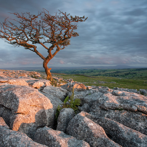 Yorkshire Dales Landscape Photography