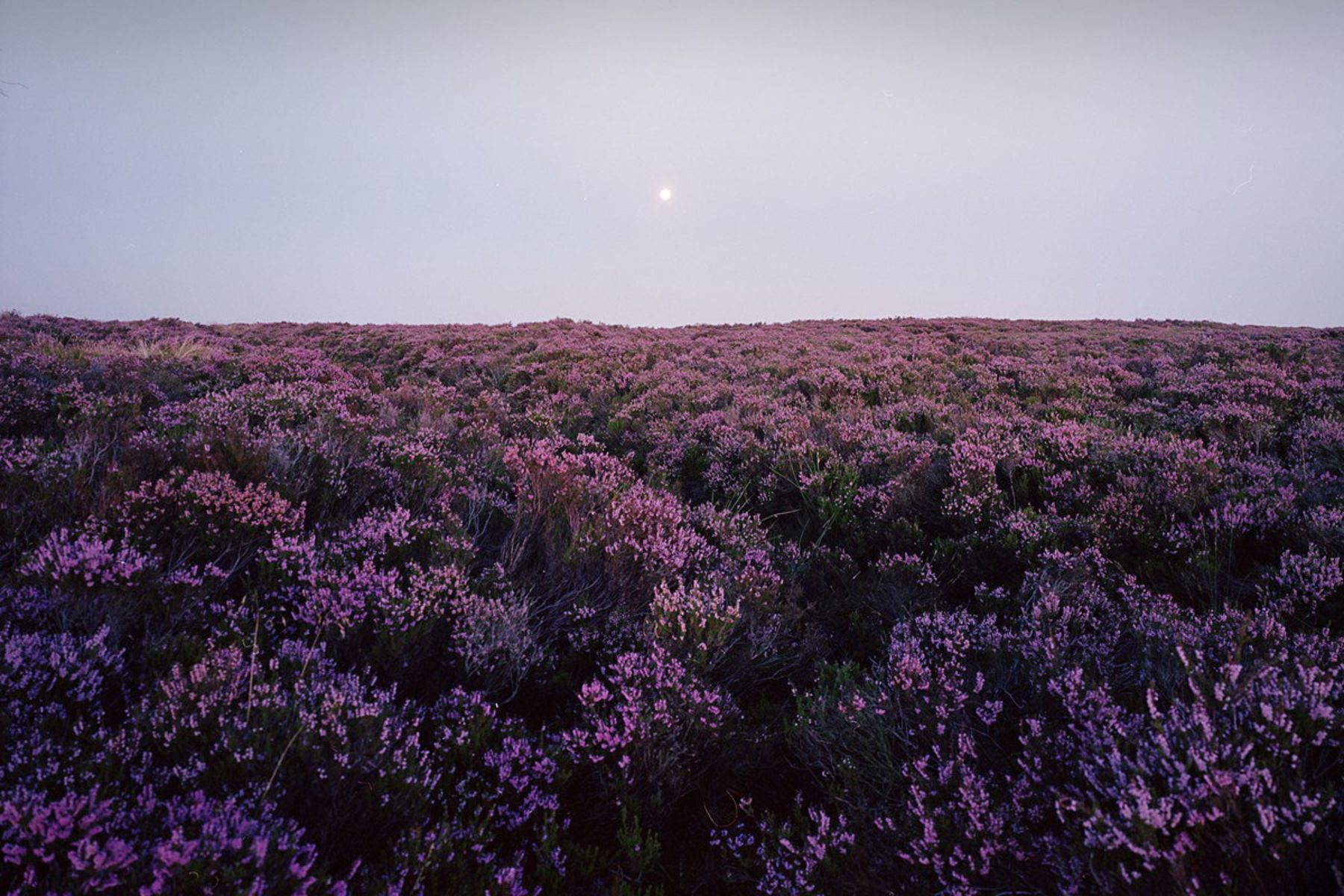 Moorland Landscape Photography